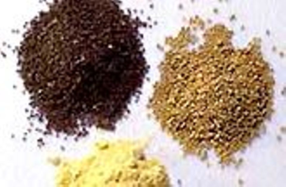 Senf - scharf und aromatisch | BRIGITTE.de