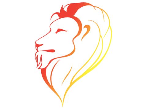 Sternzeichen Löwe: Stärken und Schwächen | BRIGITTE.de