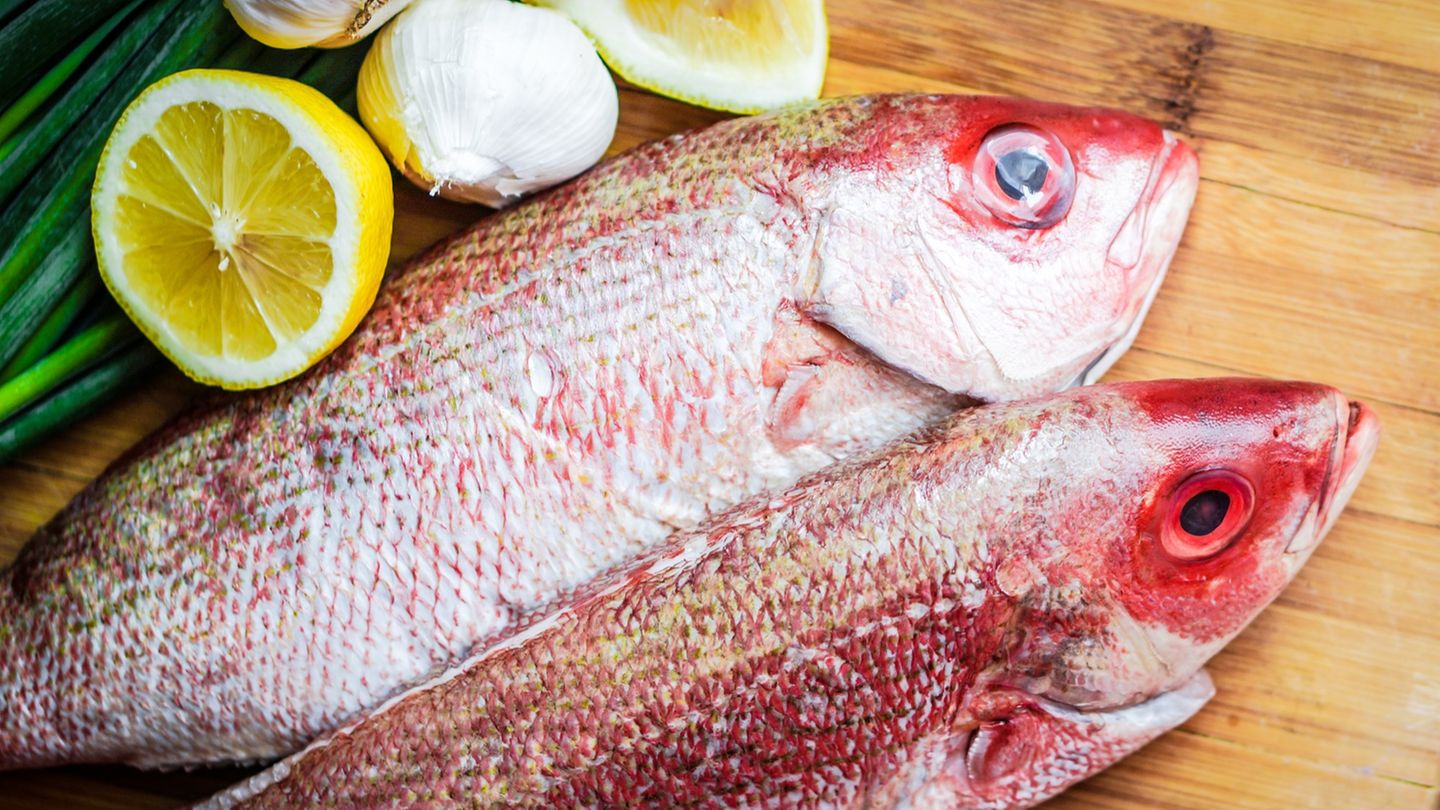 Red Snapper: Rückruf nach Fisch-Vergiftung in 11 Fällen | BRIGITTE.de