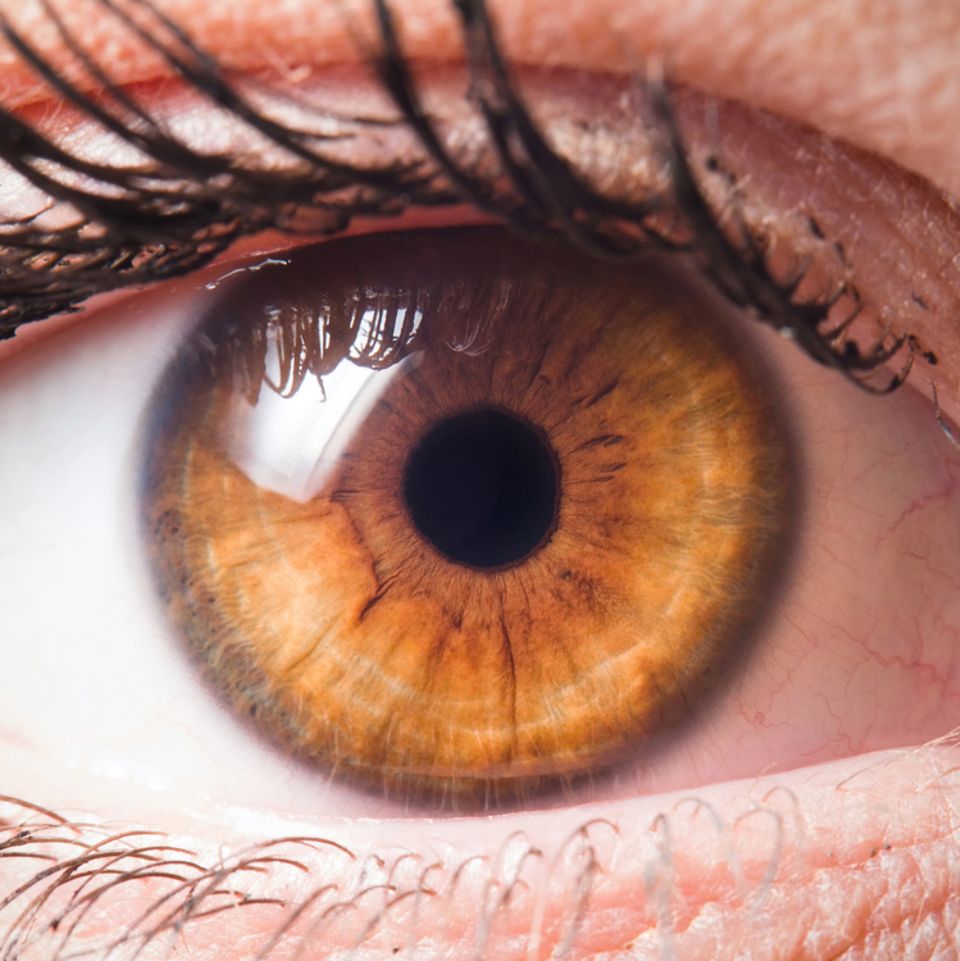 Augenfarbe | BRIGITTE.de