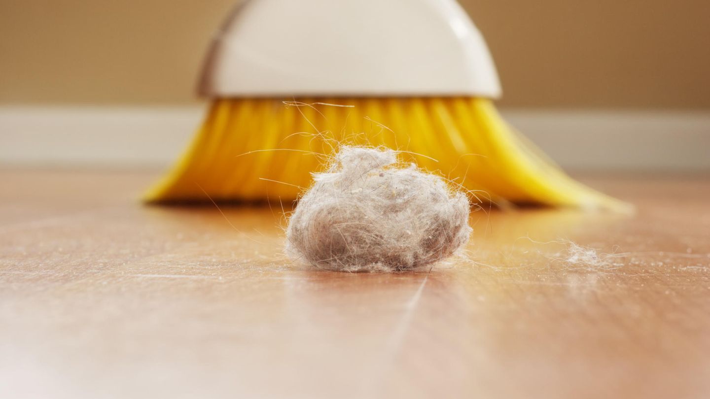 Hausstaubmilben bekämpfen - die besten Tipps und Tricks | BRIGITTE.de