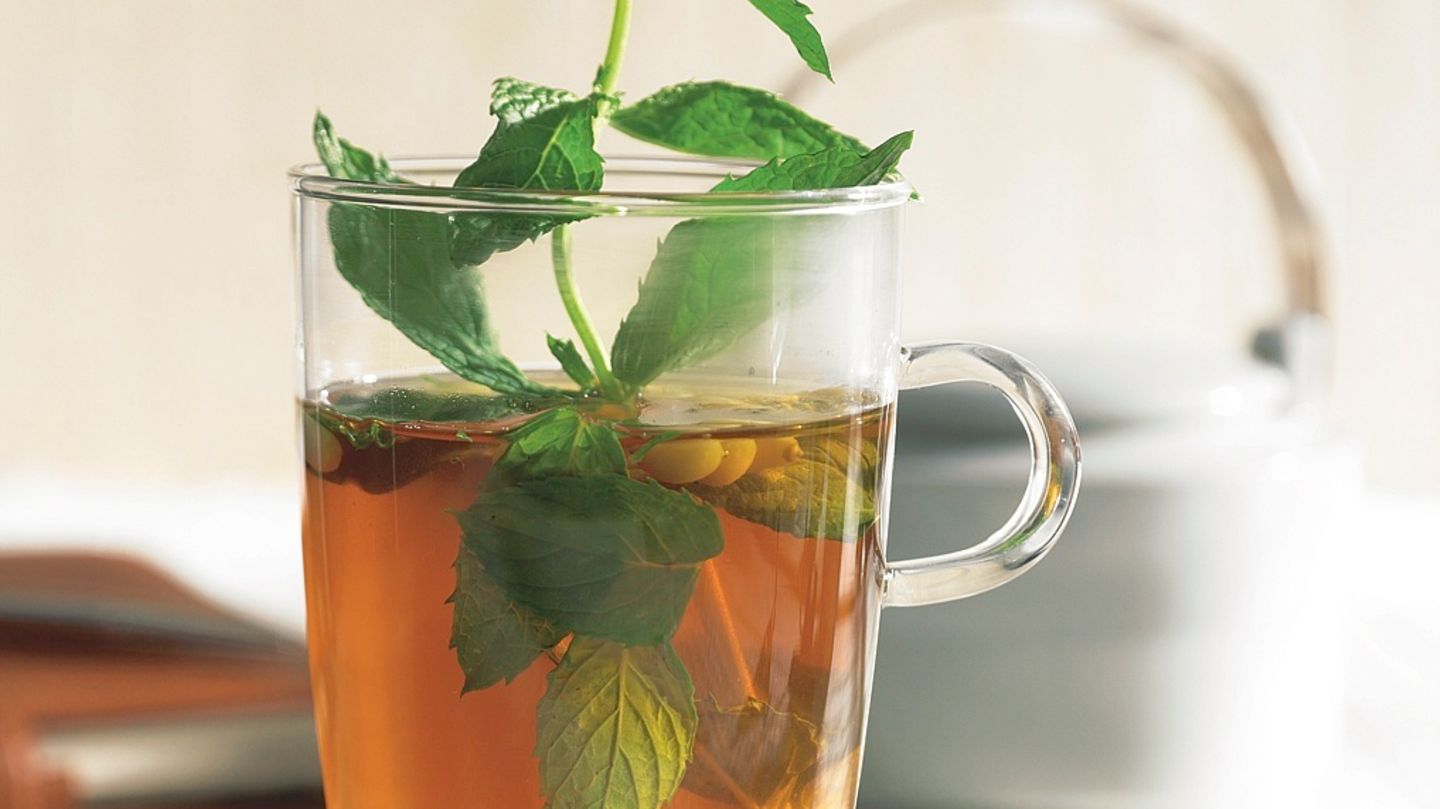 Rooibos-Minz-Tee | BRIGITTE.de