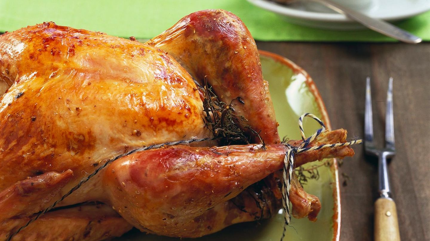 Rezepte mit Putenfleisch | BRIGITTE.de