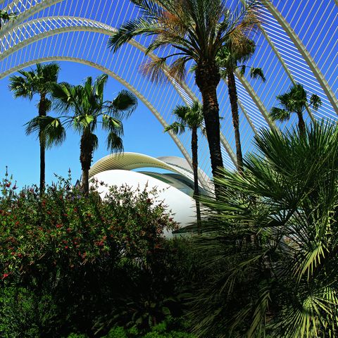 Valencia | BRIGITTE.de