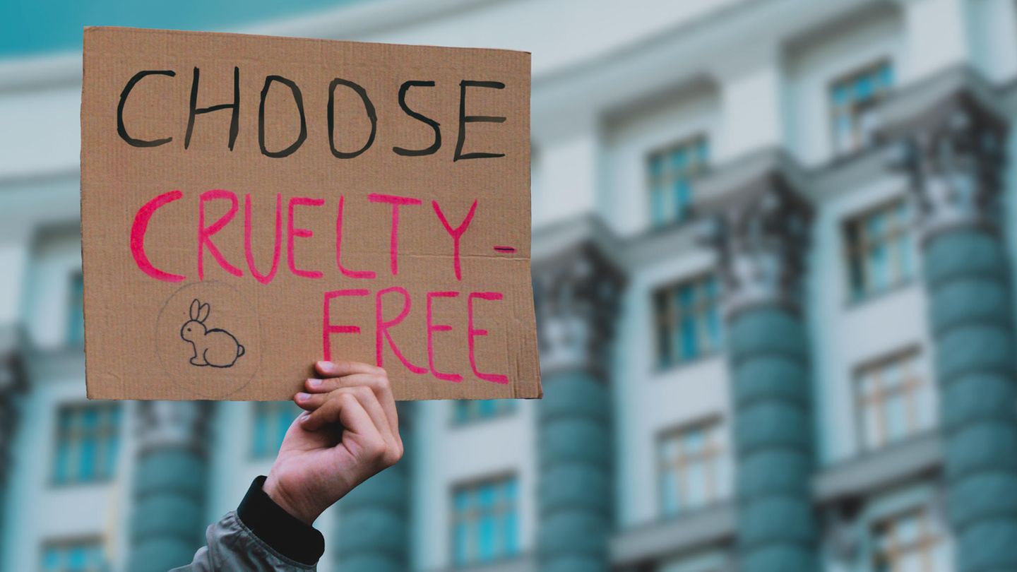 Tierversuche: Diese Marken sammeln Unterschriften für Tierwohl ...