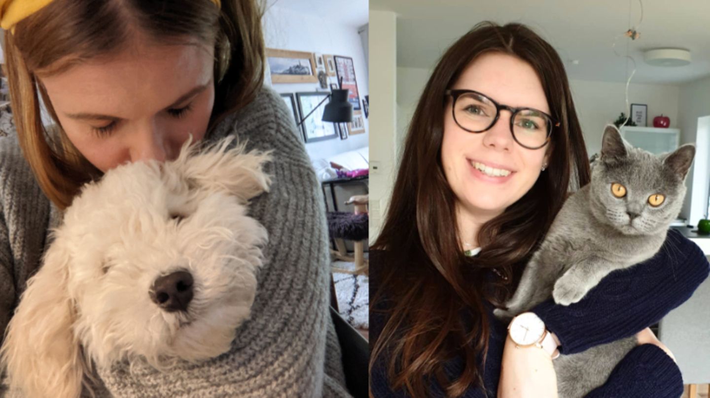 Tag der Haustiere: BRIGITTE-Redaktion zeigt fellige Freunde | BRIGITTE.de