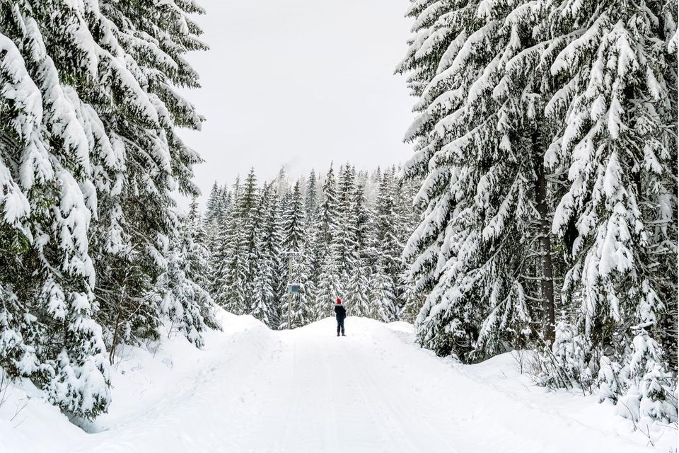 Eier aufschlagen: Mit diesem Trick gelingt es ohne Schalenreste ...