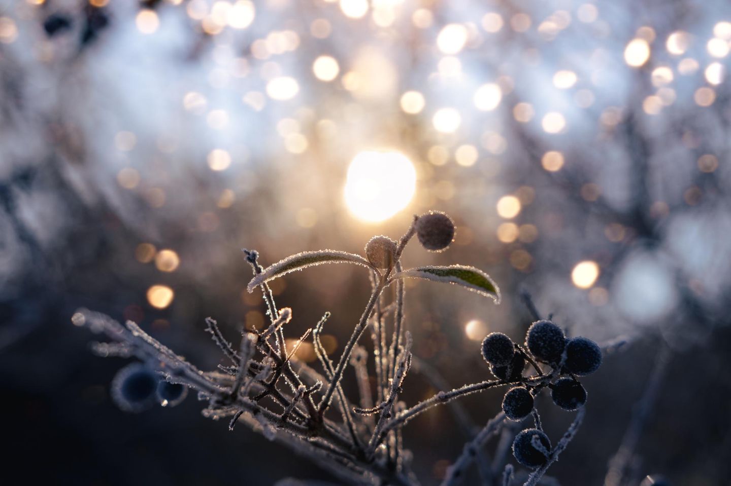 Wintersonnenwende am 21.12.: Längste Nacht, stärkste Klarheit: Warum du ...
