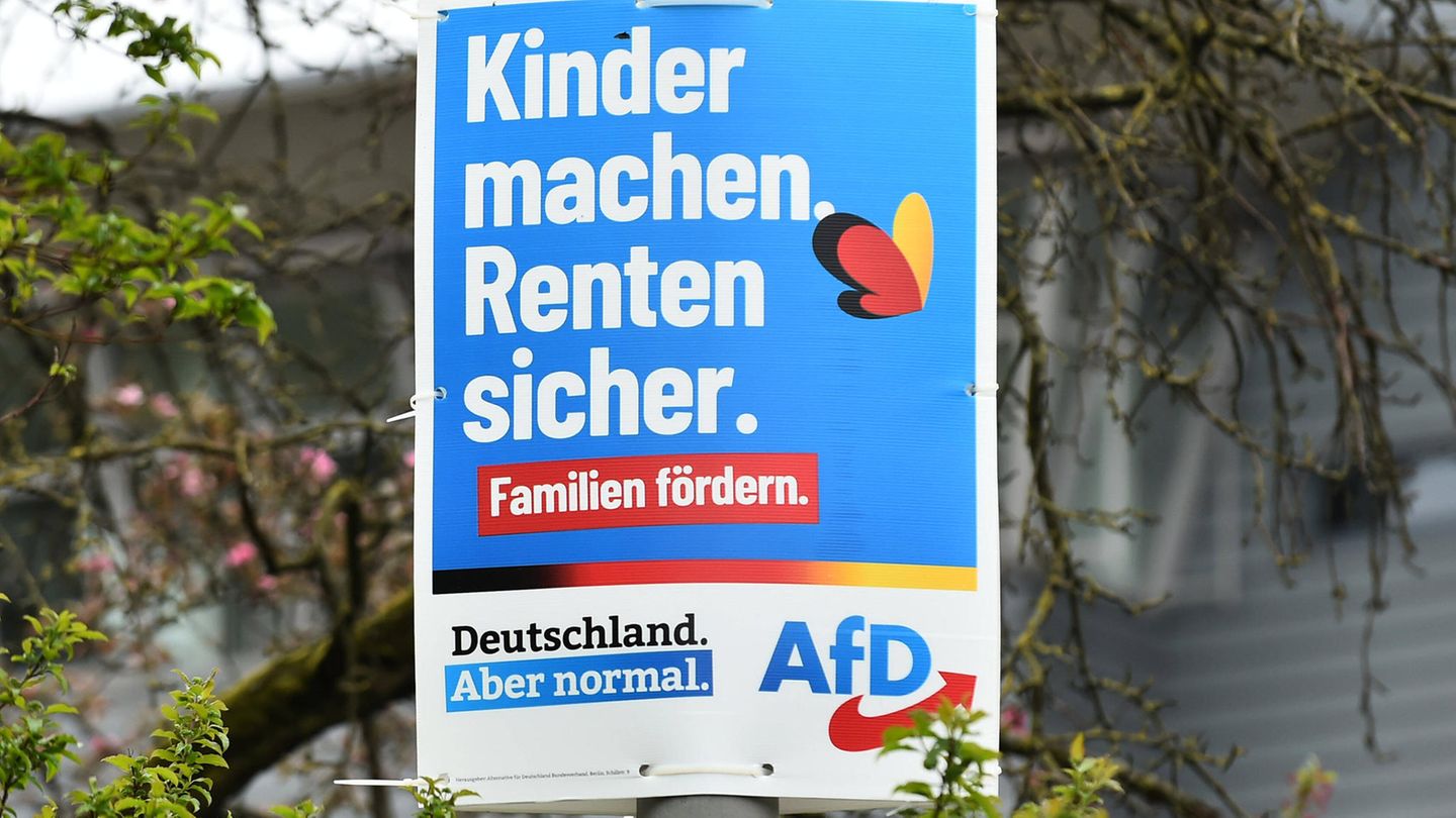 Frauenbild der AfD: Wenn Vergangenheit Zukunft werden soll | BRIGITTE.de