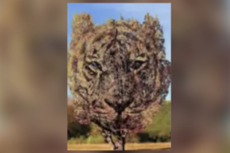 Psychologie: Diese Sätze sagen nur unreflektierte Menschen | BRIGITTE.de