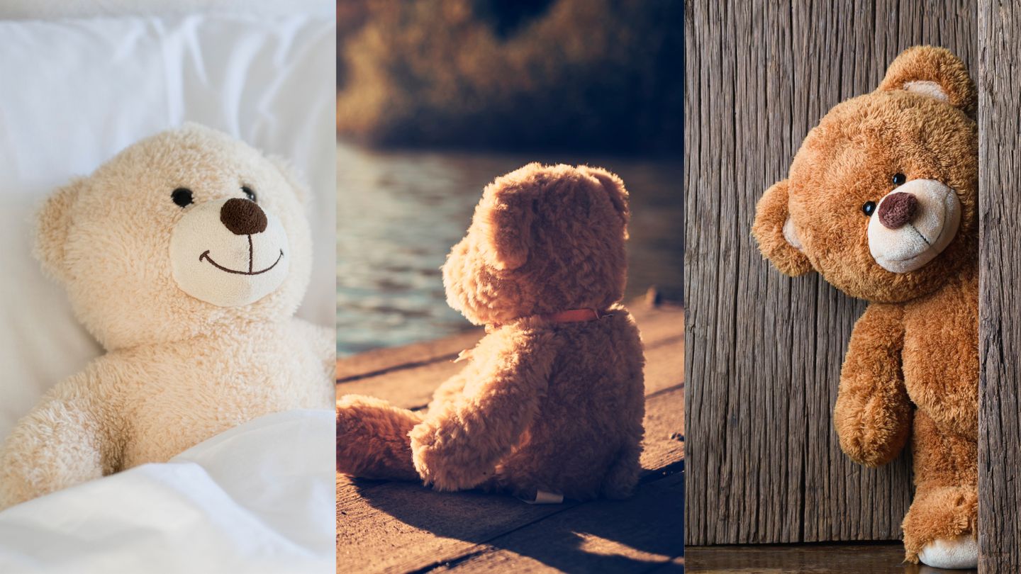 Psychologie-Test: Welchen Teddy du auswählst, zeigt wie du in ...