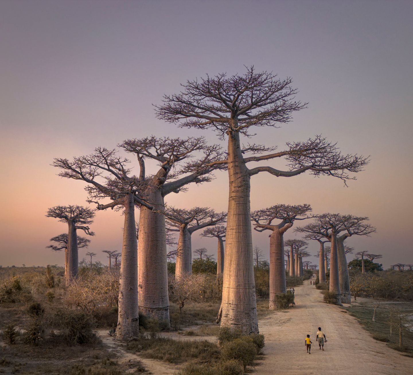 Sony World Photography Awards 2024 Diese Traumschönen Fotos Wecken Unser Fernweh