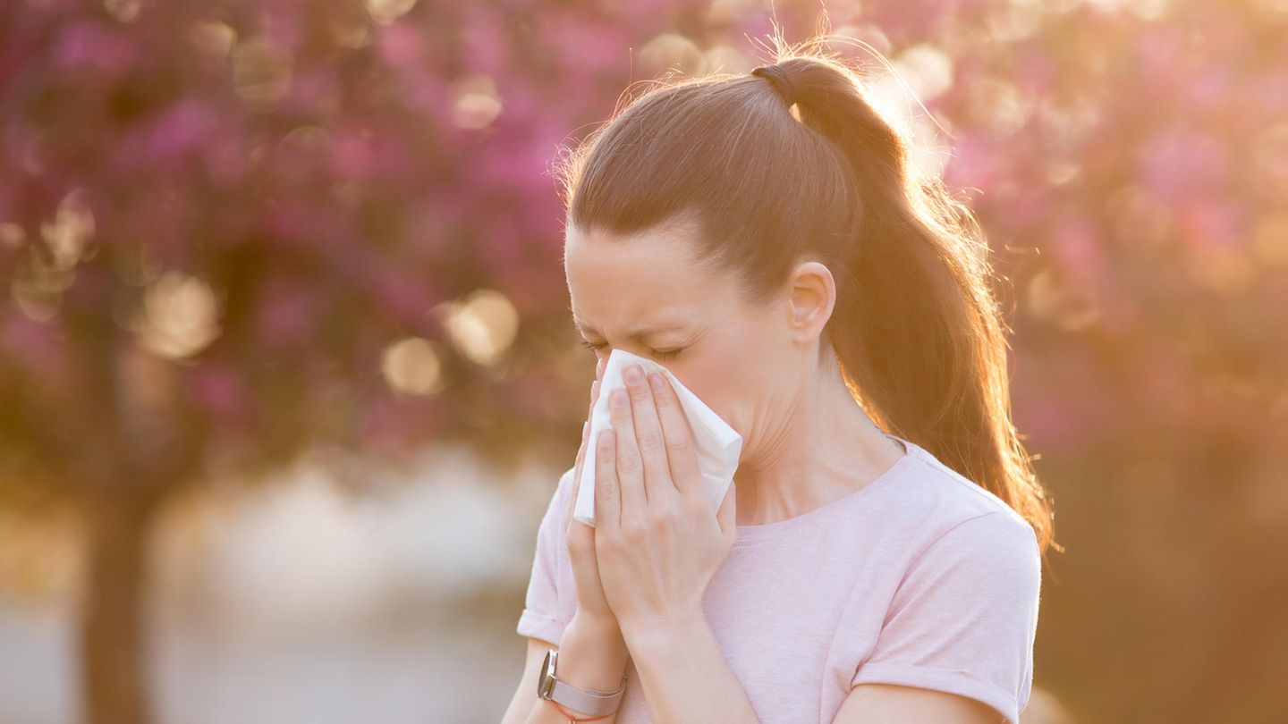 Allergie-Kolumne: Mein Feind, der Baum | BRIGITTE.de
