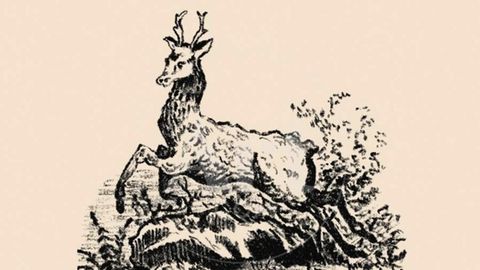 Suchbild: Gehörst du zu den 5%, die hier in 10 Sekunden den Hund finden ...