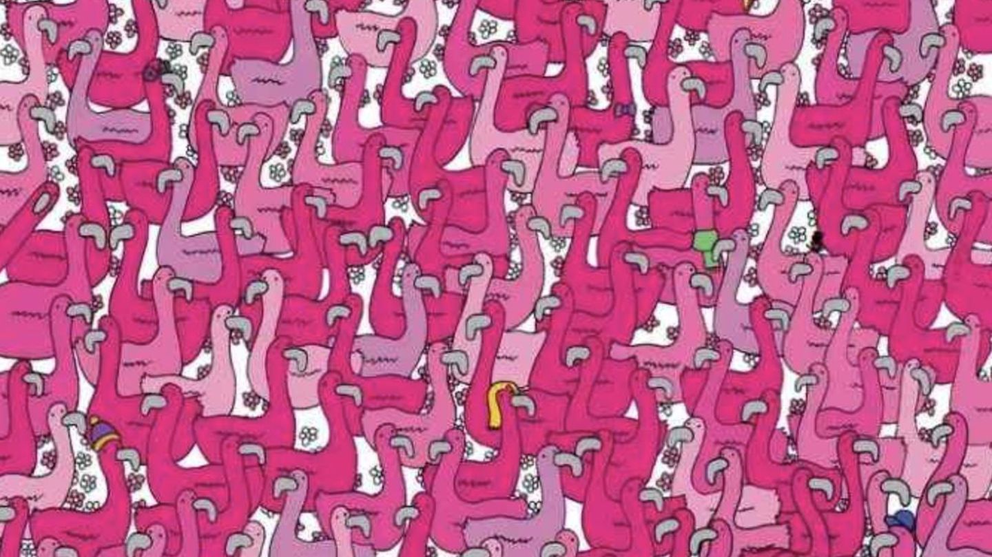 Suchbild: Nur 1% finden das versteckte Herz in 15 Sekunden | BRIGITTE.de