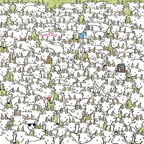 Suchbild: Nur 5 % entdecken das Schaf in 9 Sekunden – schaffst du es ...