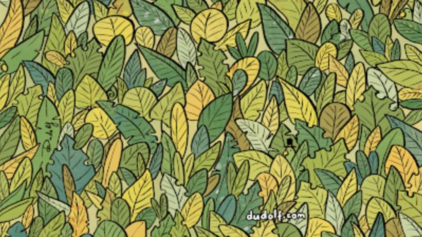 Suchbild: Nur 7% können die 3 Chamäleons in 15 Sekunden finden ...