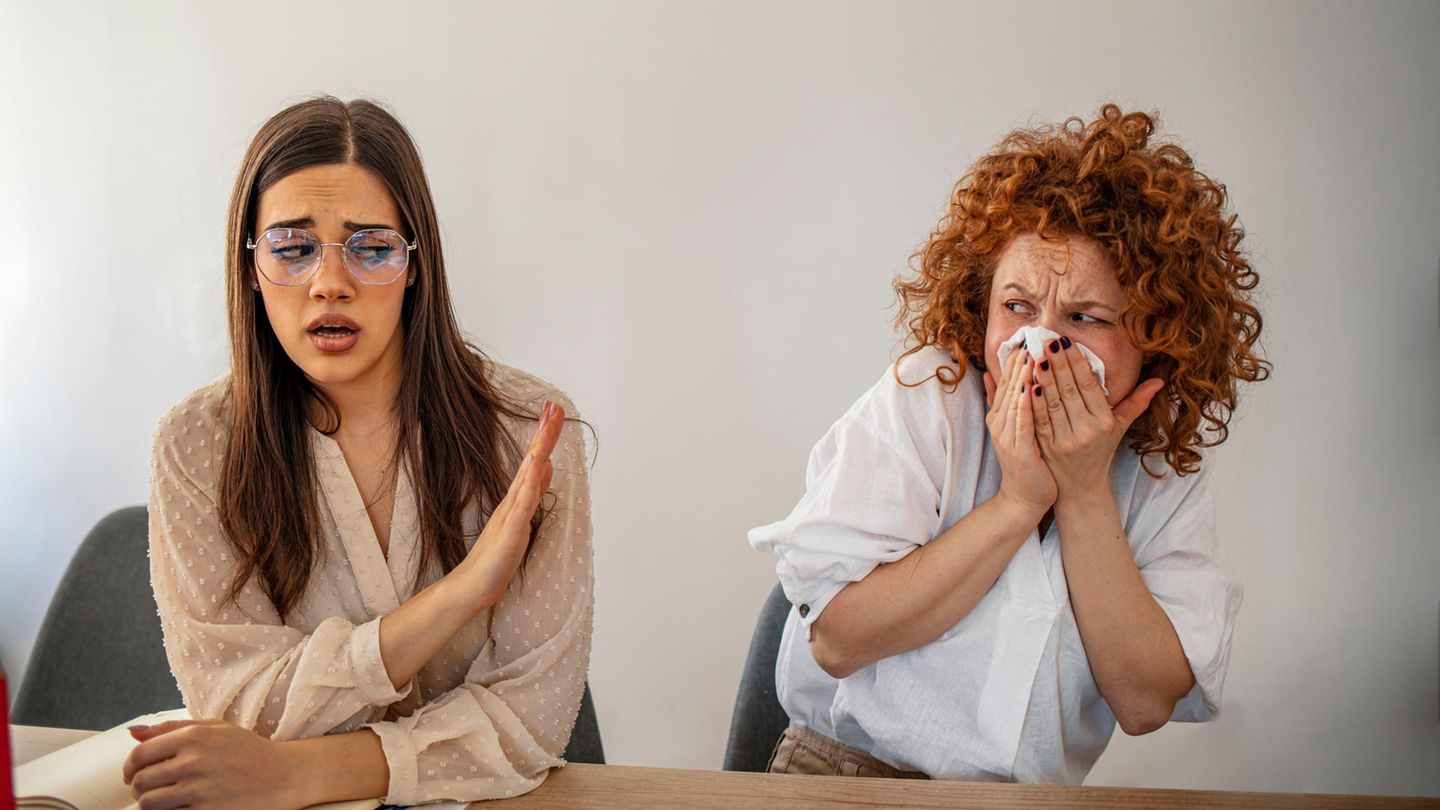 Laut Knigge-Experte: Nie "Gesundheit"! DAS solltest du nach dem Niesen ...