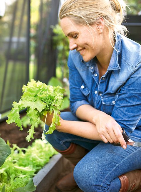 Judith Rakers: "Der Garten lehrt mich, dass ich nie Herrin der Lage bin" | BRIGITTE.de