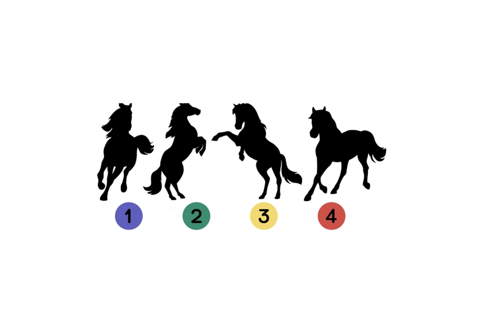 Persönlichkeitstest: Welches Pferd du hier spontan wählst, zeigt, was ...