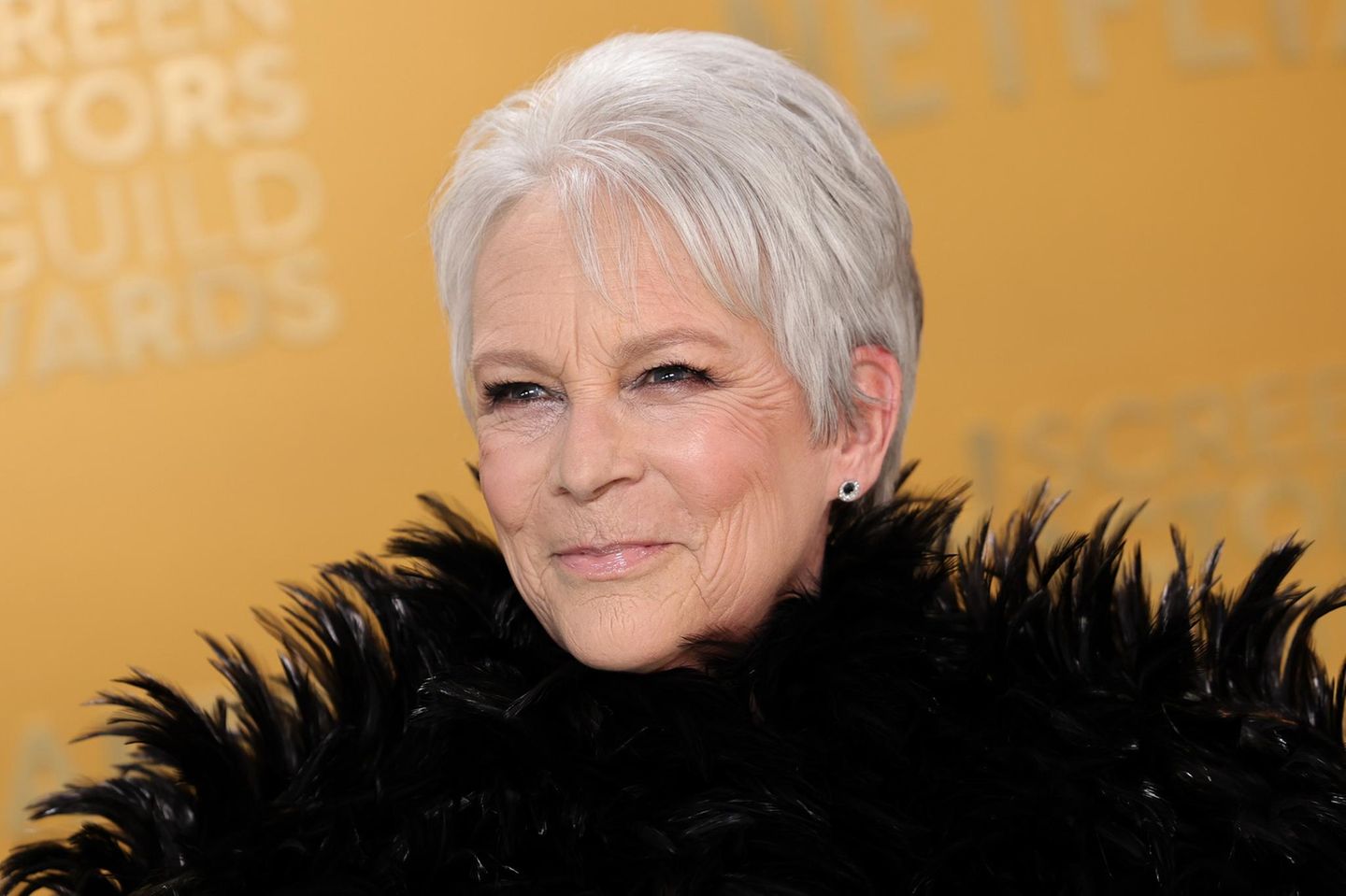 Jamie Lee Curtis + Co.: Diese Stars bereuen ihre verfrühten Schönheits-Ops | BRIGITTE.de