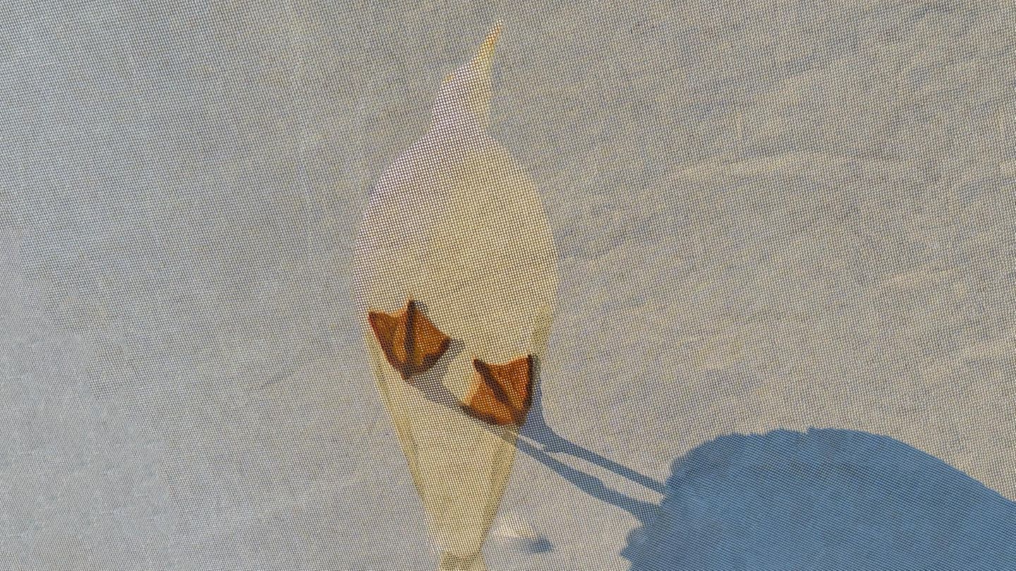 "iPhone Photography Award": 26 Fotos, die wir so schnell nicht ...