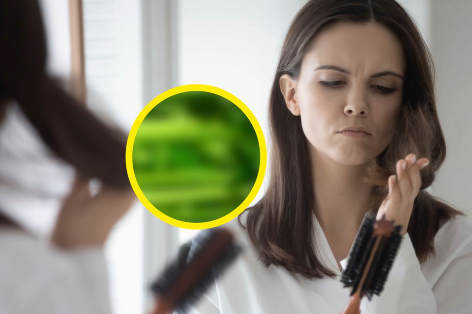 Haarausfall stoppen: Die 7 besten Strategien | BRIGITTE.de