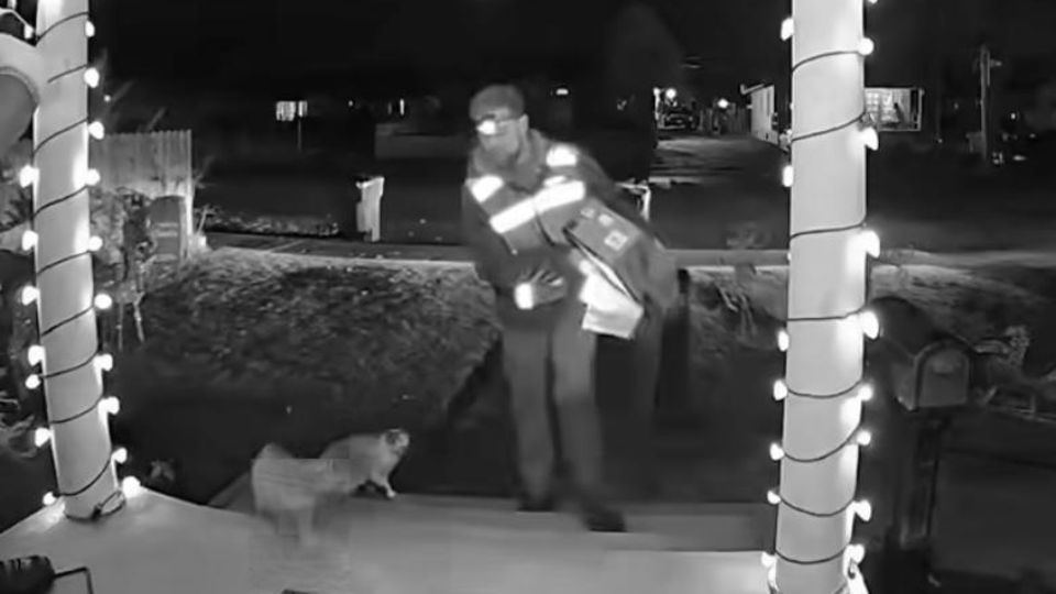 Virales Video: Dieser Postbote bringt nicht nur Pakete – er erobert ...