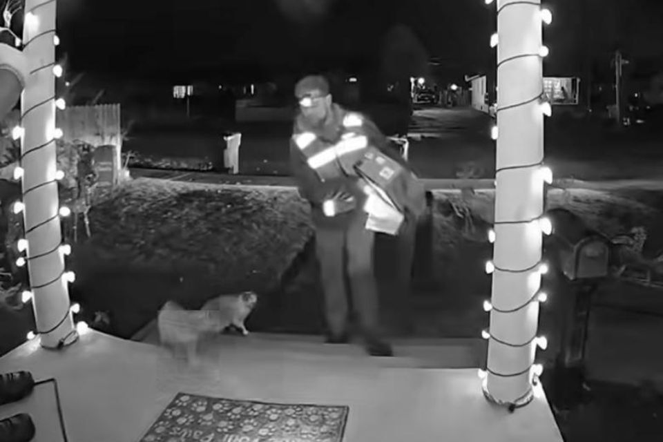 Eier aufschlagen: Mit diesem Trick gelingt es ohne Schalenreste ...