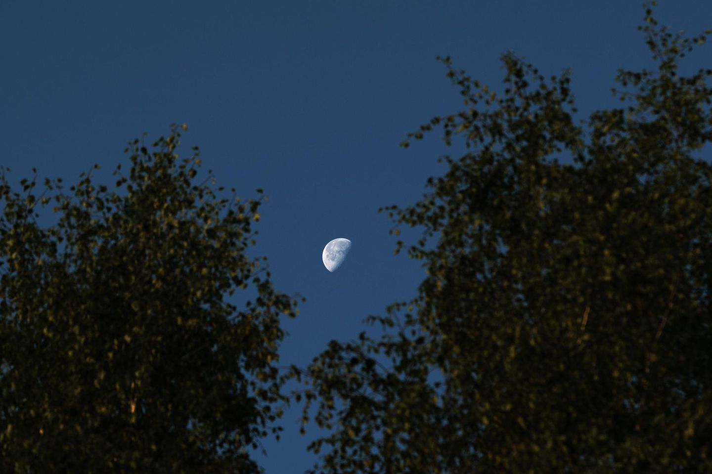 Horoskop ab 9.1.2026: 3 Sternzeichen sendet der Halbmond eine wichtige ...