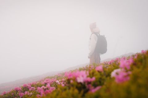Studie zeigt: 3 Verhaltensweisen machen Verabredungen am häufigsten zur ...