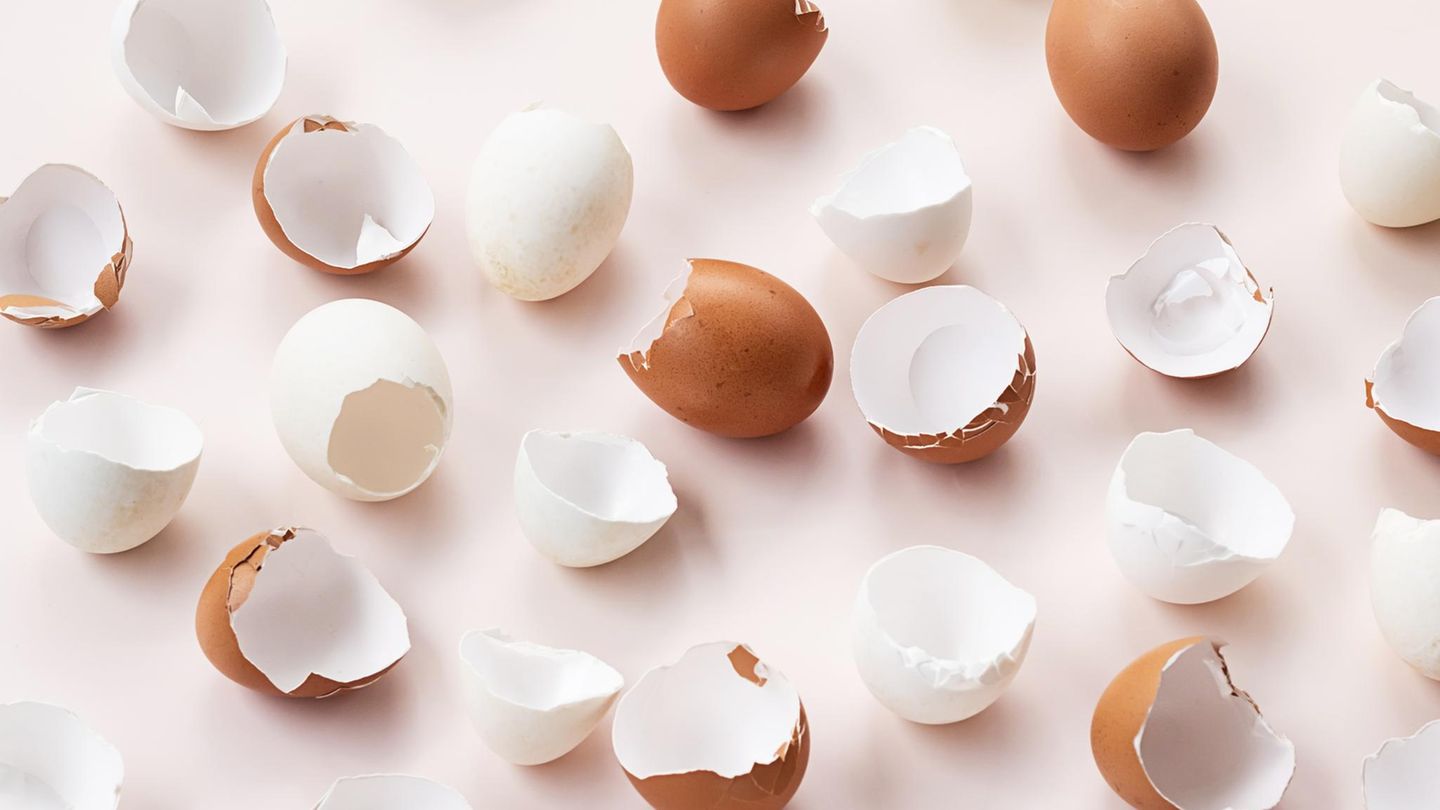 Protein-Hype: Ist zuviel Eiweiß doch schädlich? | BRIGITTE.de