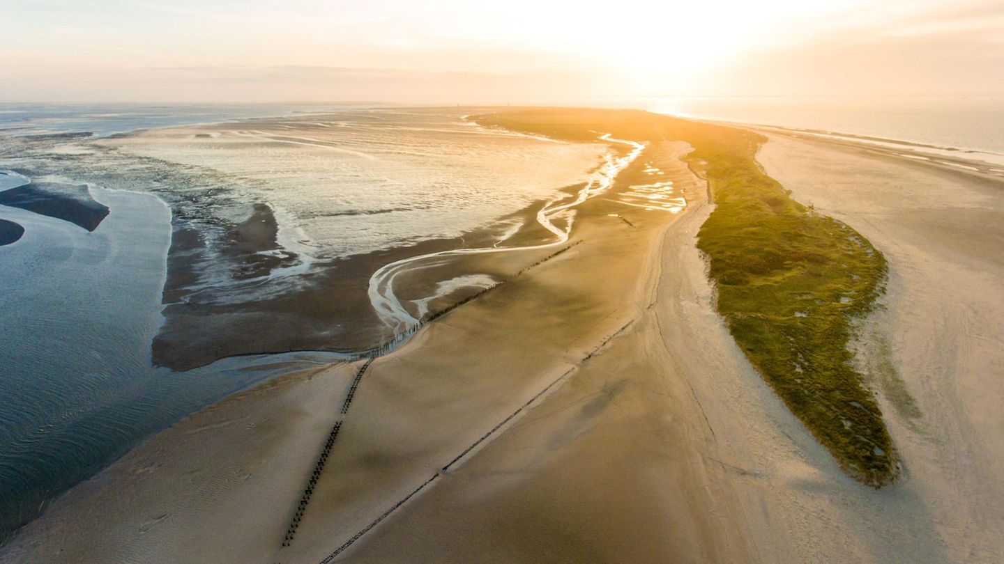 Traumurlaub am Meer: Wo du diesen Sommer kurzfristig noch unterkommst ...