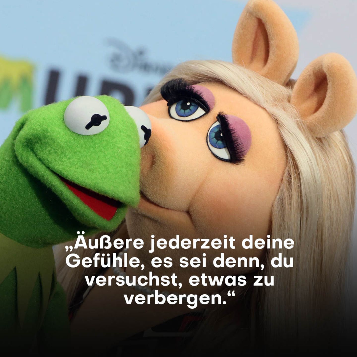 Miss Piggy feiert Geburtstag: Die besten Zitate der Kuschel-Diva ...
