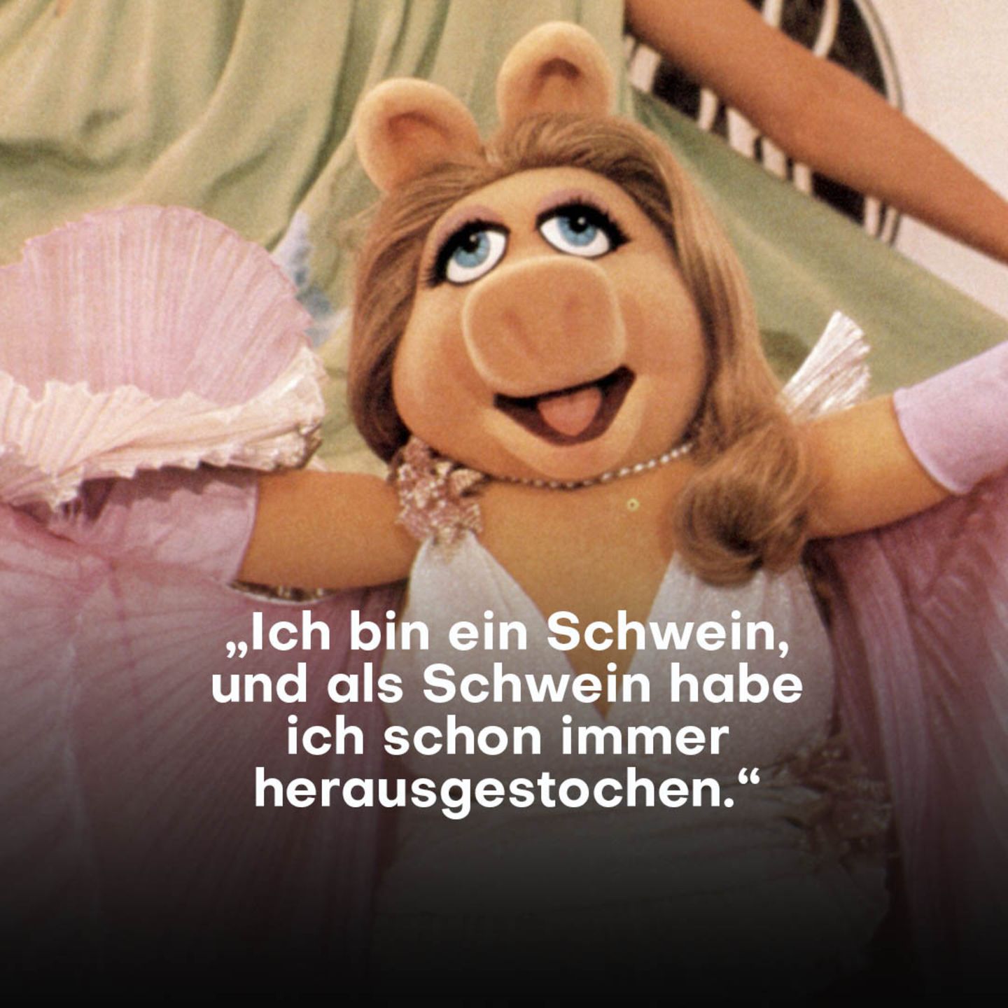 Miss Piggy feiert Geburtstag: Die besten Zitate der Kuschel-Diva ...