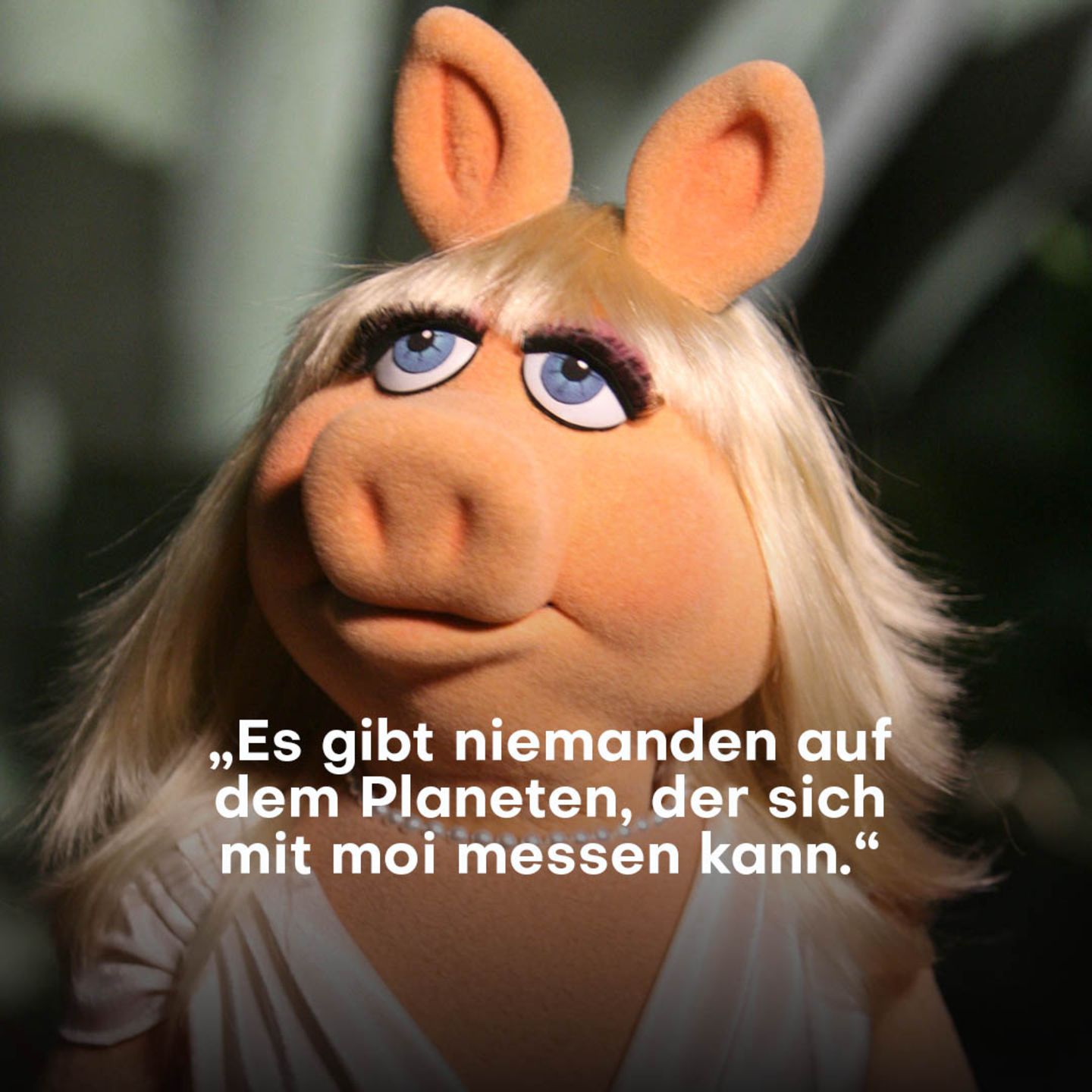 Miss Piggy feiert Geburtstag: Die besten Zitate der Kuschel-Diva ...