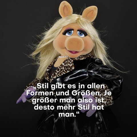 Miss Piggy feiert Geburtstag: Die besten Zitate der Kuschel-Diva ...