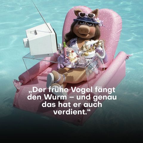 Miss Piggy feiert Geburtstag: Die besten Zitate der Kuschel-Diva ...