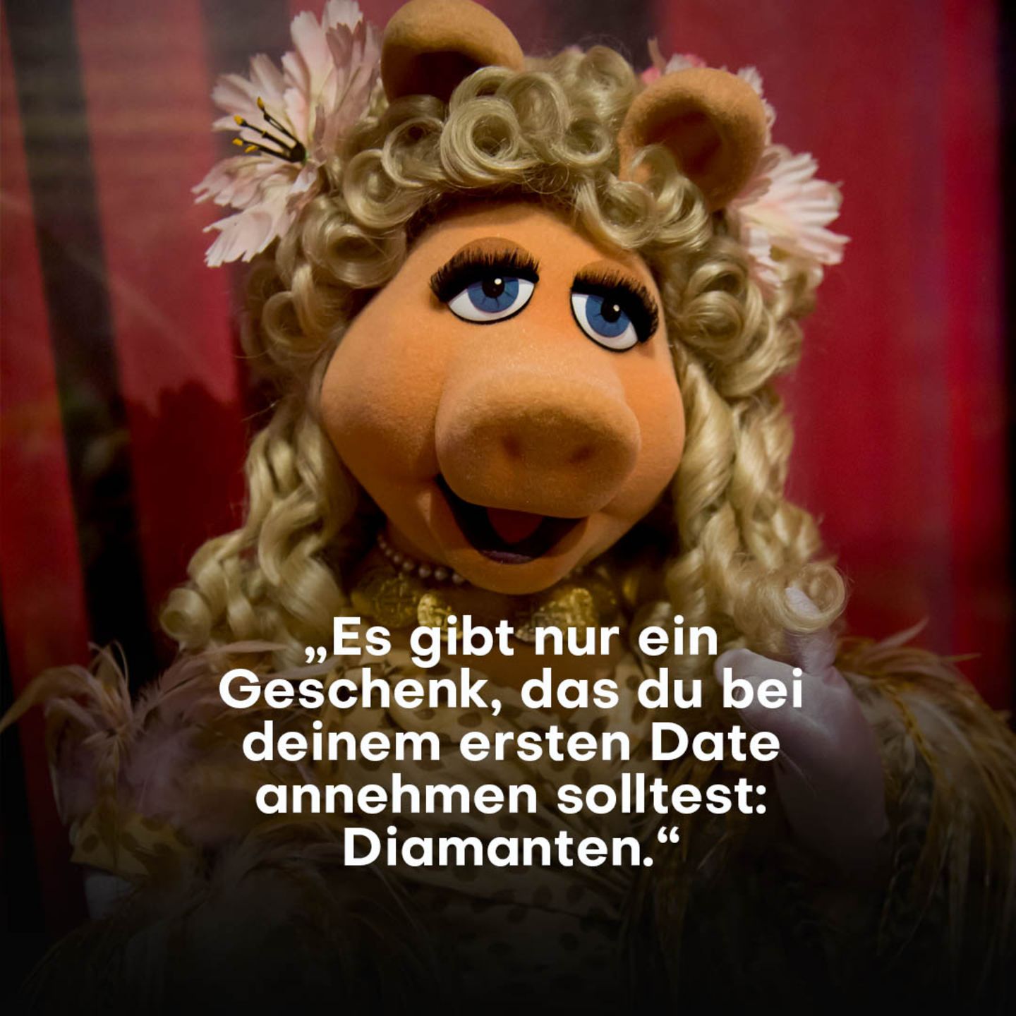 Miss Piggy feiert Geburtstag: Die besten Zitate der Kuschel-Diva ...